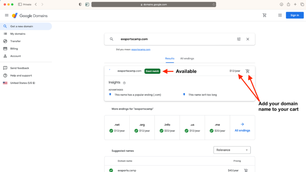 Six Steps to Successfully Redirect playnsports.com URL with Google ...