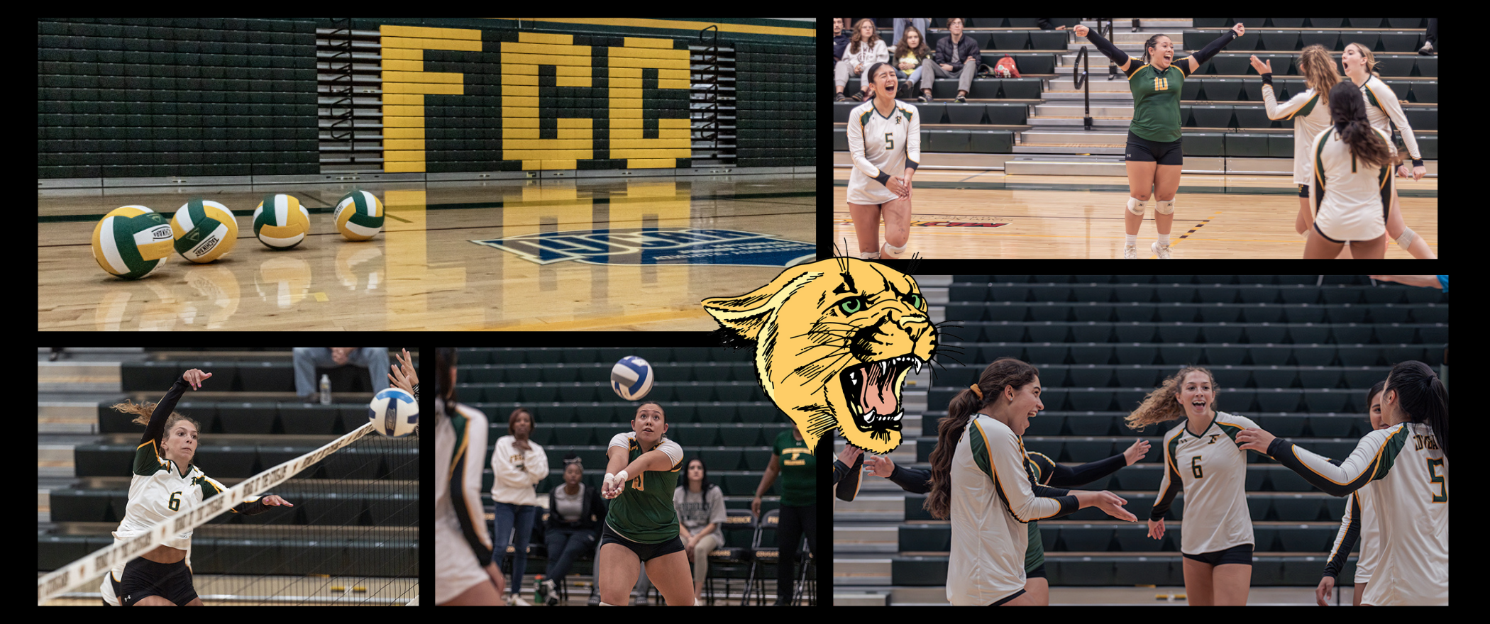 2024 FCC Volleyball Clinics - Register Today