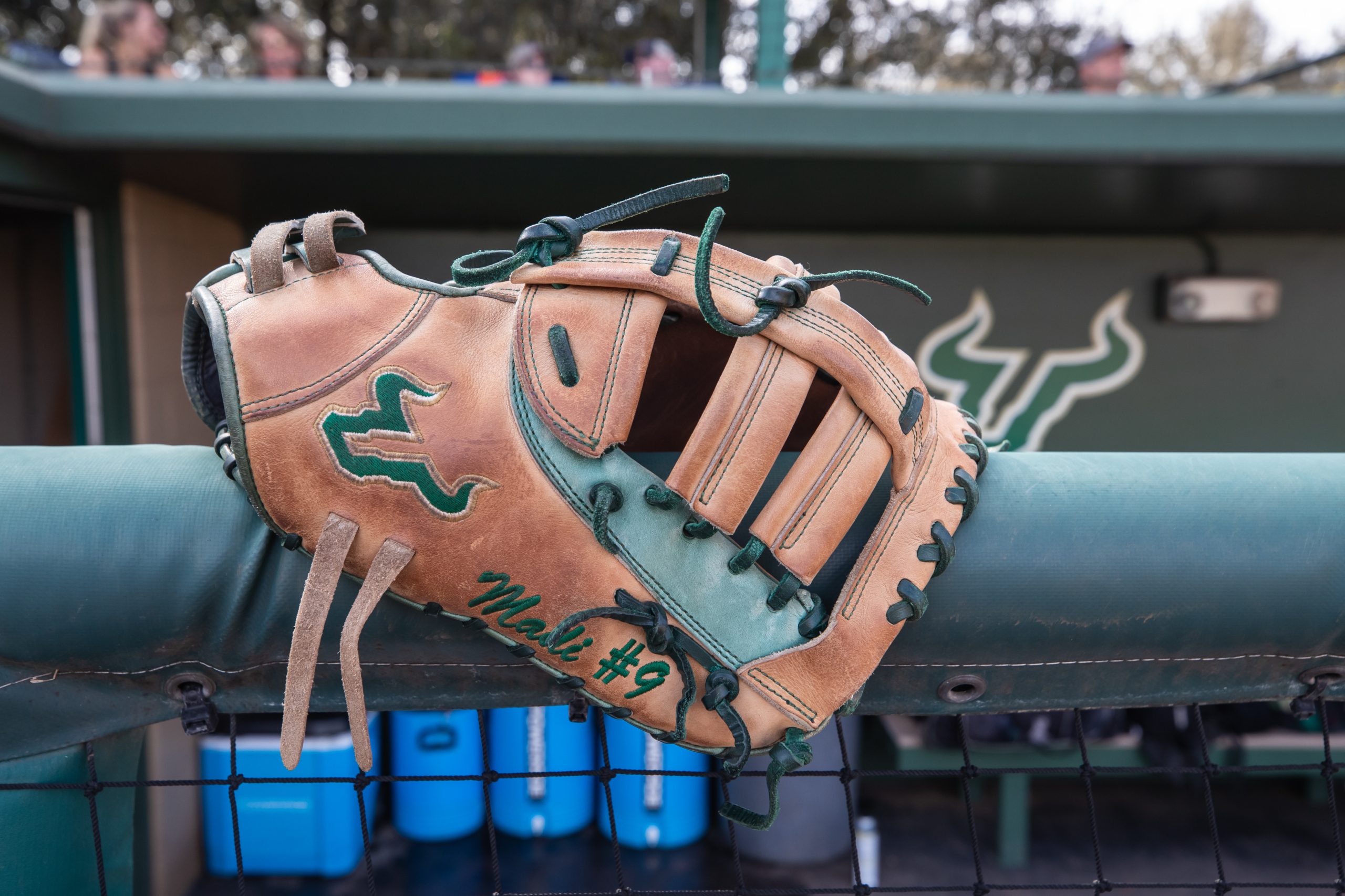 USF Camp Sessions with the Bulls - Register Today