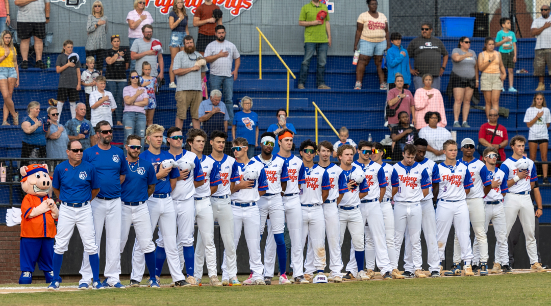Lexington Flying Pigs Baseball/Softball Camp - Register Today