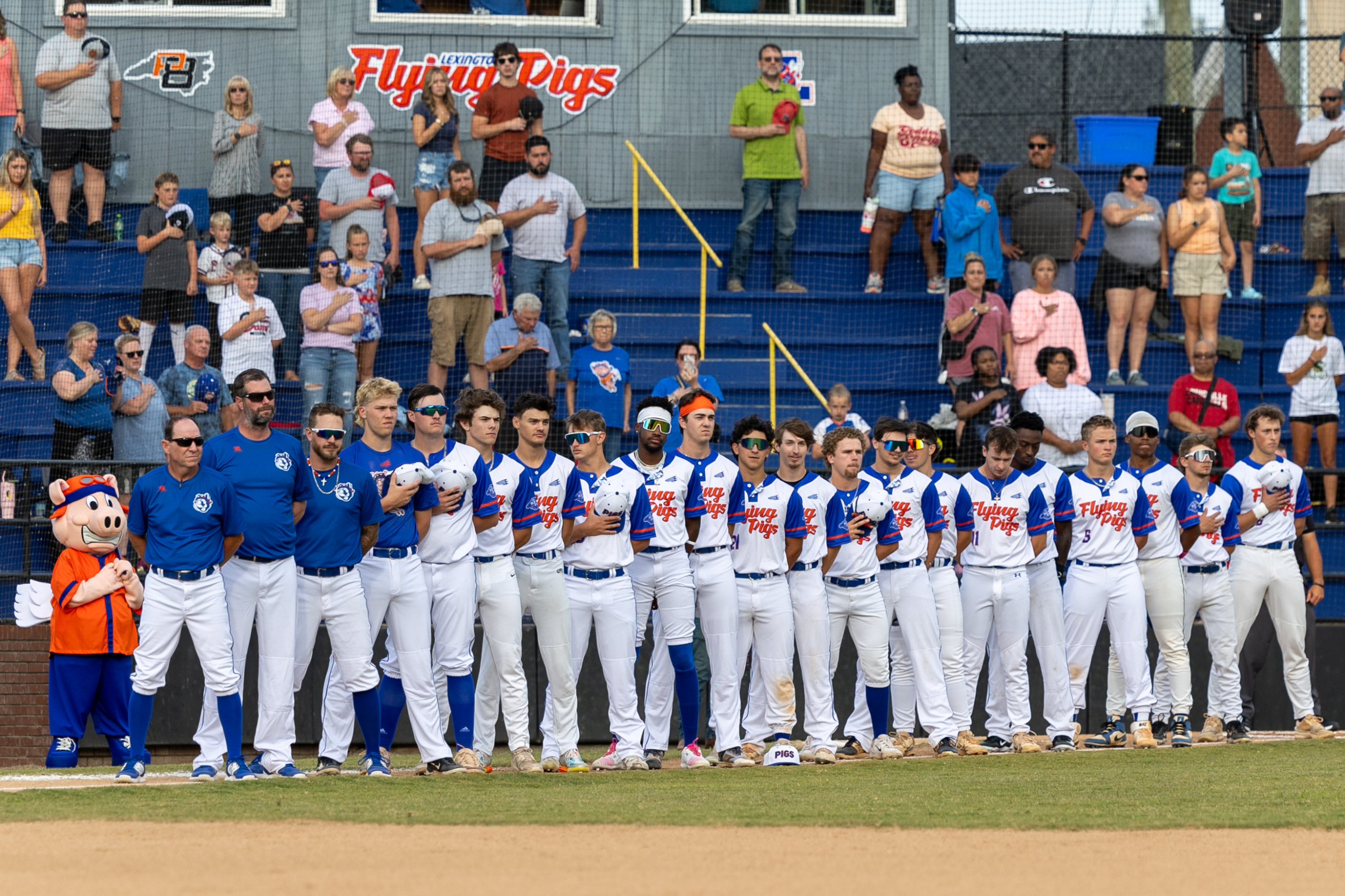 Lexington Flying Pigs Baseball/Softball Camp - Register Today